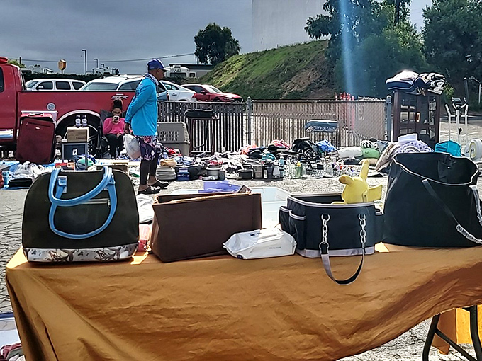 Handbag heaven awaits the discerning shopper. From practical totes to statement pieces, your next favorite accessory is hiding in plain sight.