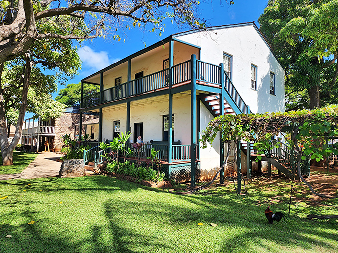 The Baldwin Home Museum stands as a preserved piece of Lahaina's past, its whitewashed walls telling stories of old Hawaii. History you can walk through.