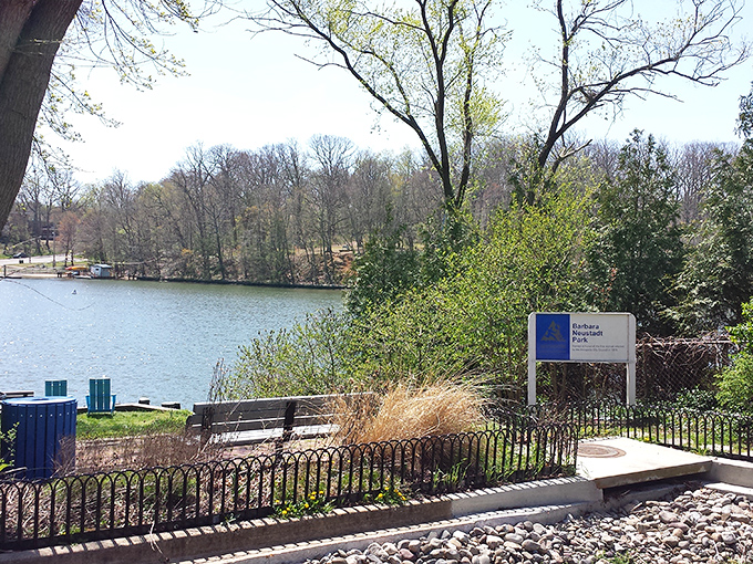 Golden hour bathes this yacht club in warm light, transforming an already beautiful waterfront scene into something that belongs on a postcard.