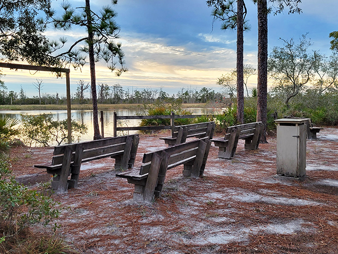 These weathered benches have hosted countless sunset watchers, deep conversations, and probably a few marriage proposals over the years.