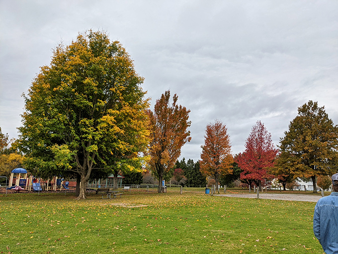 Bergman Park's autumn colors paint nature's masterpiece, reminding us why New Yorkers flee the city each fall.