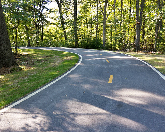 Cumberland's bike trails curve through forests like nature's roller coaster, minus the terrifying drops and overpriced photos.