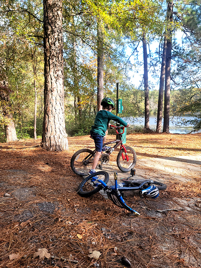 Childhood freedom on two wheels. When "screen time" meant watching the scenery flash by as you pedaled through paradise.