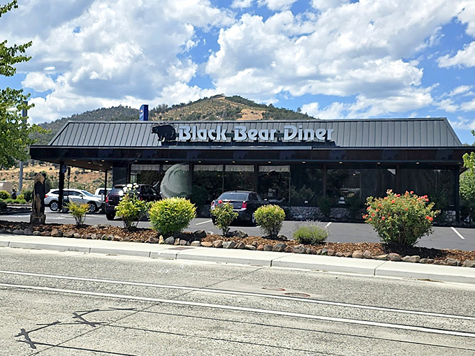 Black Bear Diner serves up comfort food classics in portions that satisfy both your appetite and your budget&mdash;a rare combination in today's California.