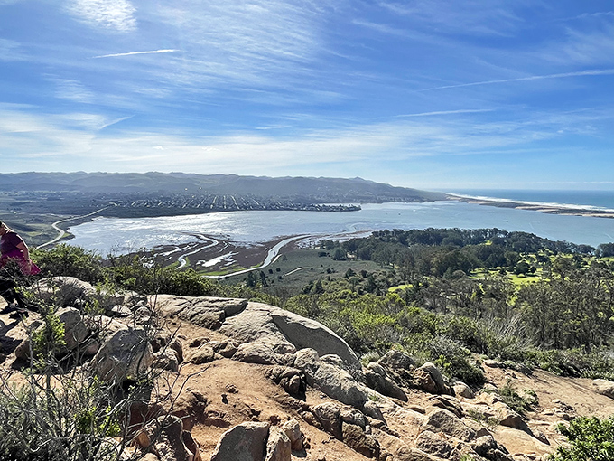 Black Hill Trail rewards ambitious climbers with sweeping views of the estuary, coastline, and that ever-present volcanic sentinel.