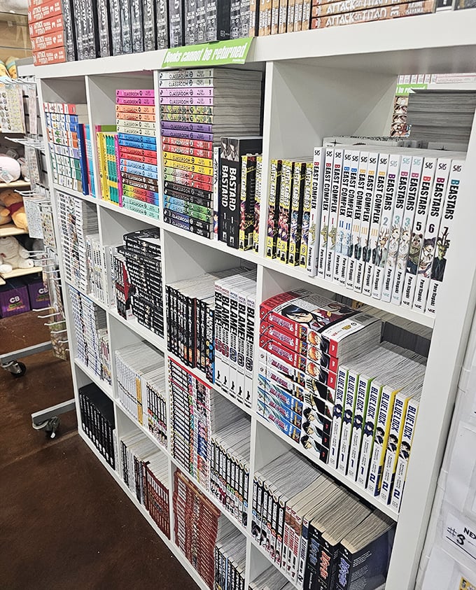 Manga heaven for collectors and casual readers alike. When bookstore prices make you wince, the outlet alternative feels like finding buried treasure.