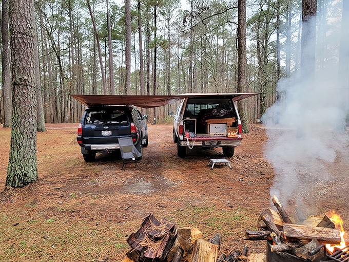 Camping in Whitmire's pine-scented wilderness &ndash; where crackling campfires, good company, and zero emails create the vacation your soul has been begging for.