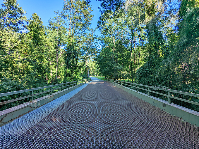 Crossing into tranquility. This sturdy bridge leads deeper into the forest, promising adventures that won't show up in your phone notifications.