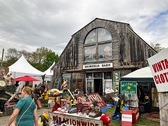 The Brimfield Barn stands as rustic headquarters for vintage hunters. Its weathered boards have witnessed thousands of transactions and treasure discoveries.