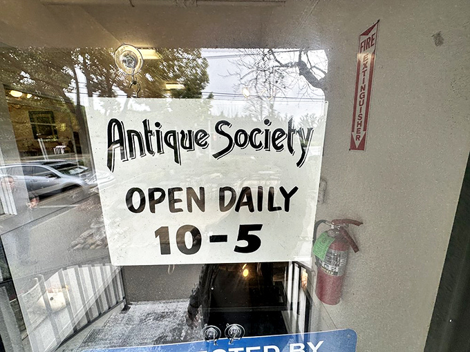 Open daily 10-5, because even time machines need regular hours for proper treasure hunting.