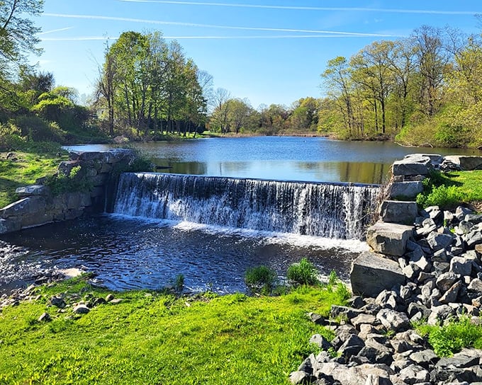Butterfly Pond Dam Falls creates nature's soundtrack, a gentle cascade that's been the background music for generations of Lincoln residents.
