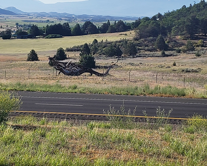 The rolling landscape surrounding Montague reminds you that Northern California has been quietly hoarding some of America's most stunning vistas.