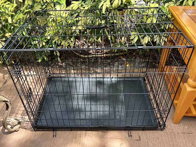 One shopper's outgrown pet crate is another's perfect solution &ndash; practical finds like this make The HOPE Chest a community resource beyond fashion.