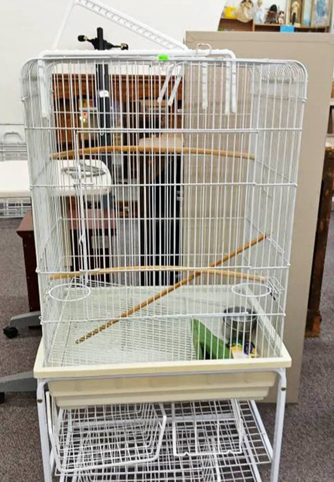 Even pet supplies make the cut here, because apparently your feathered friends deserve secondhand deals too, and honestly, why not?