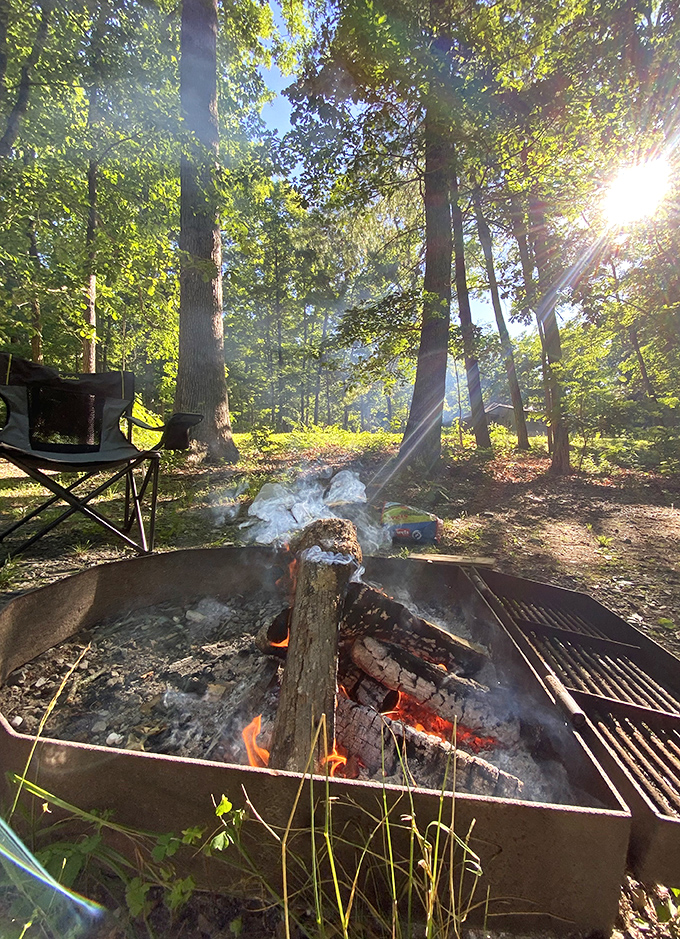 Campfire magic at its finest. Nothing says "perfect day" like the hypnotic dance of flames while forest-filtered sunlight plays through the trees.