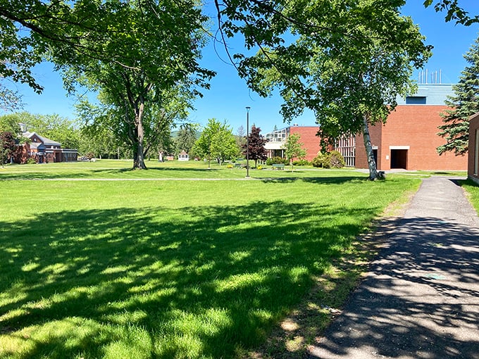 The university campus offers peaceful green spaces where students and locals alike enjoy northern Maine's precious summer days between epic winters.