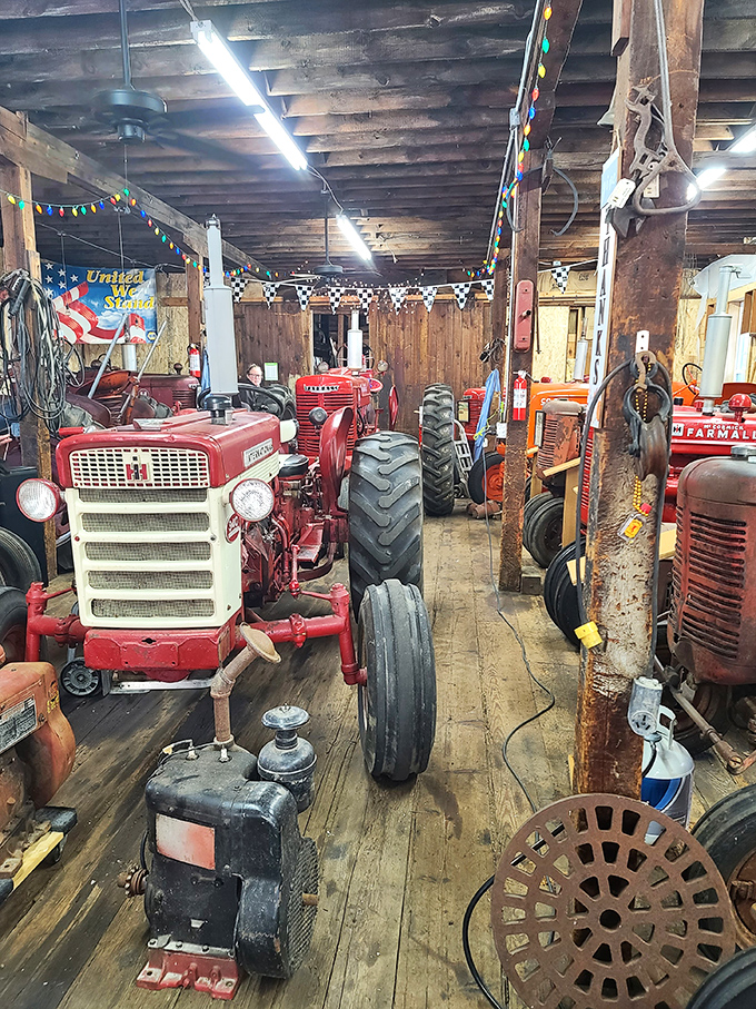 A museum of mechanical marvels. These vintage tractors represent the iron workhorses that transformed Wisconsin's agricultural landscape.