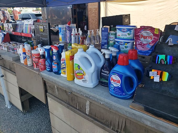 Laundry detergent lined up like soldiers&mdash;because even treasure hunters need clean clothes for next weekend's hunt.