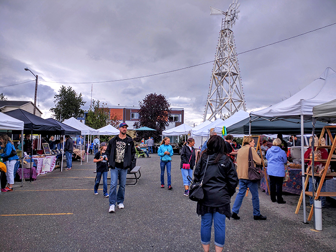 Market-goers navigate the stalls like seasoned explorers. The real Alaskan expedition happens between these tents.