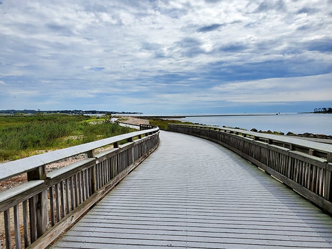 Coastal boardwalks connect you to marshlands and shoreline views. Nature's classroom comes with the best kind of homework—simply observing.