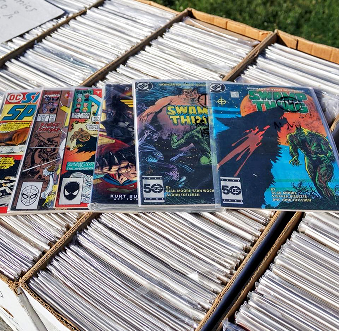Comic book gold mines where Swamp Thing meets Spider-Man. Collectors know the thrill of flipping through these boxes is half the fun of the hunt.