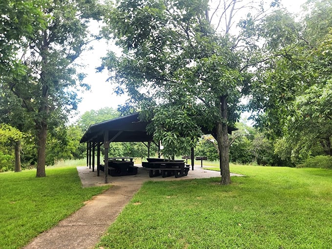 The humble picnic shelter&mdash;where family reunions become bearable and potato salad sits in the sun just long enough to become a gastrointestinal adventure.
