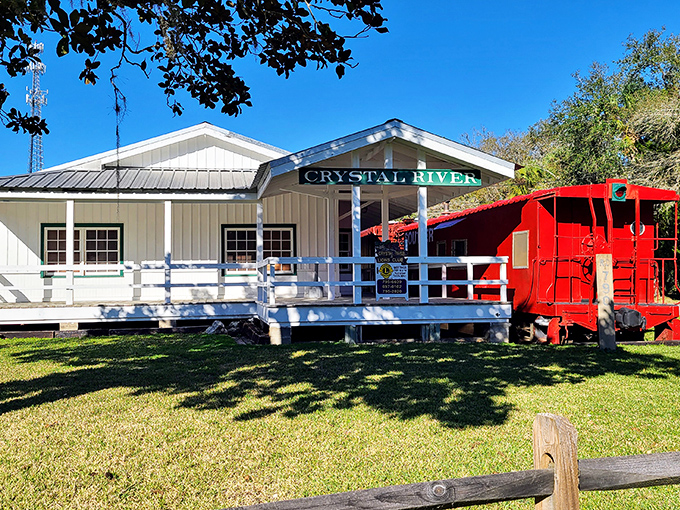 Crystal River Station, complete with its charming red caboose, preserves the area's railroad heritage while welcoming visitors to explore local history.
