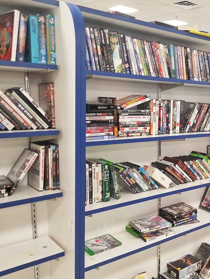 The DVD shelves offer a time capsule of entertainment history, where forgotten films and series await rediscovery for the price of a streaming service's coffee budget.