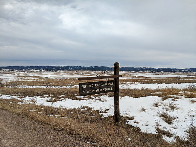 "Buffalo are dangerous" isn't just good advice&mdash;it's a reminder that at Bear Butte, you're a visitor in a wild kingdom.