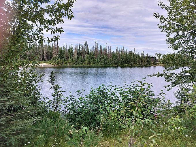 A serene lake reflecting the surrounding forest like nature's own Instagram filter. No photoshop required for this Alaskan masterpiece.
