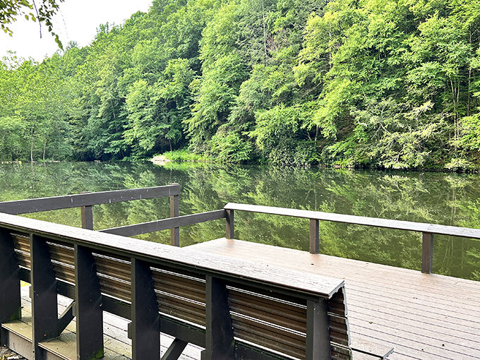 Fishing pier perches over glassy water, offering front-row seats to nature's most peaceful entertainment channel available.