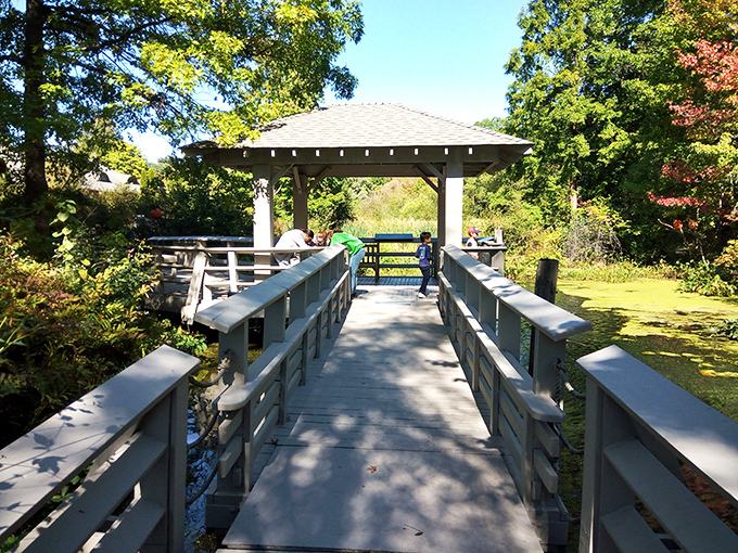 A wooden bridge leading to a peaceful gazebo&mdash;the perfect spot to contemplate life's big questions or just take a really good nap.