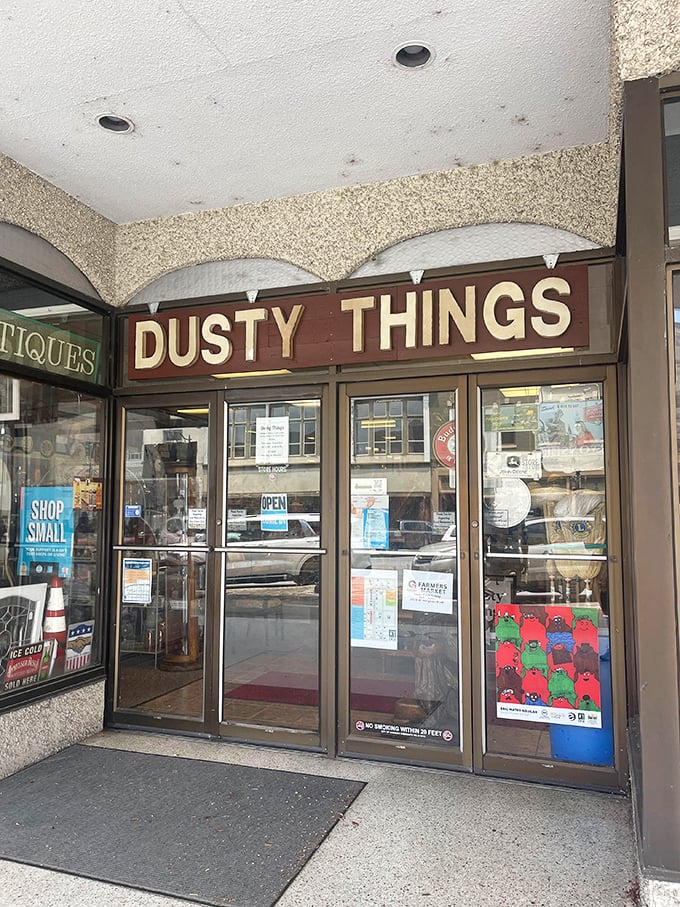 "Dusty Things" promises treasures beneath the dust, where one person's forgotten knickknack becomes another's conversation piece.