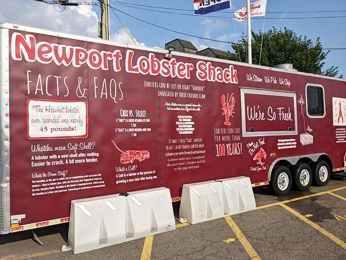 A trailer of lobster facts that serves as both education and appetite enhancement. Did you know lobsters can live over 100 years? This one didn't, but it died for a noble cause.