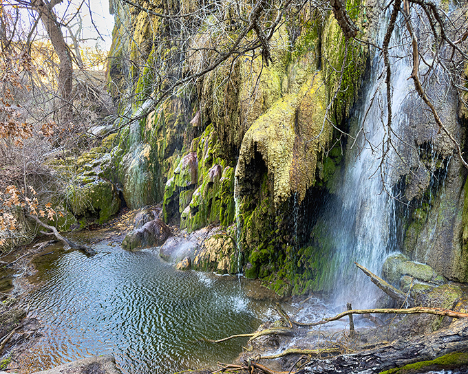 Gorman Falls reveals its full glory through a curtain of emerald moss and crystal water.