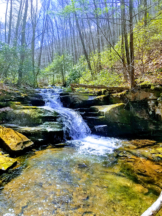Hidden waterfalls cascade through Lock Haven's surrounding forests. These natural treasures require a bit of hiking to discover&mdash;nature's way of making you earn your Instagram moments.