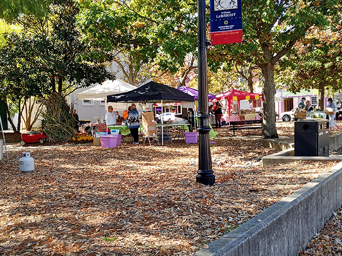 Milford's Farmers Market transforms fallen leaves into a community gathering spot where local produce becomes the star of weekend conversations.