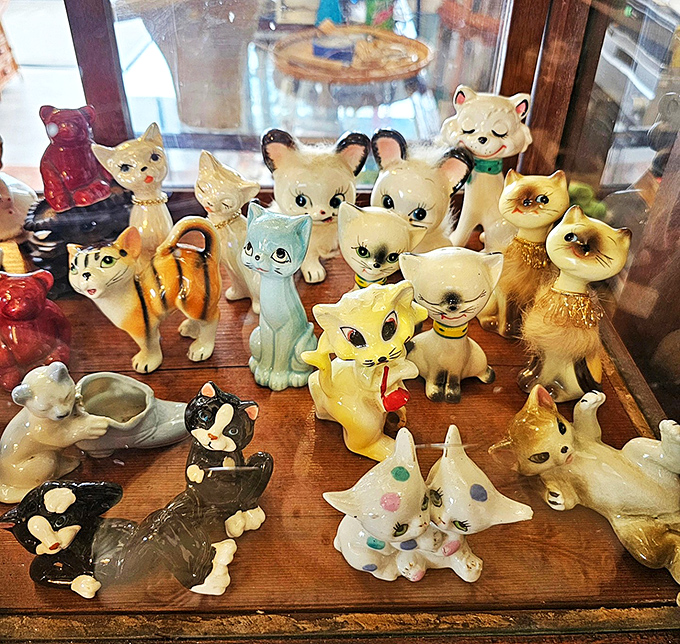 A parliament of ceramic kitties holds court in this display case, their mid-century charm irresistible to collectors of vintage whimsy.