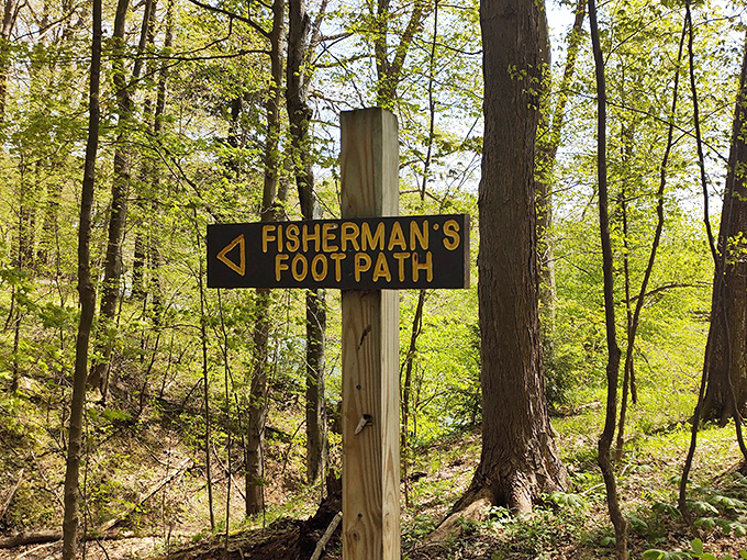 Fisherman's Foot Path: where the journey to your fishing spot is almost as rewarding as catching anything.