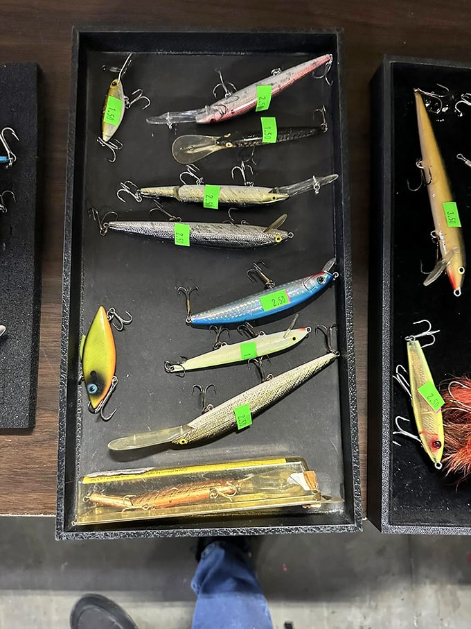 Fishing lures arranged like colorful aquatic jewelry. Weekend anglers and collectors alike can hook a deal without getting soaked on sporting goods prices.