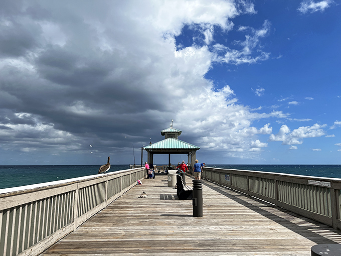 The fishing pier&mdash;half promenade, half community center. Where stories grow taller with each retelling and pelicans provide free entertainment.
