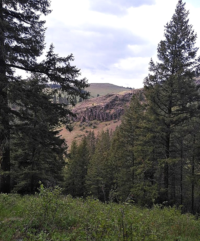 Forest frames mountain views like a living postcard – no filter required, just pure Oregon magnificence.