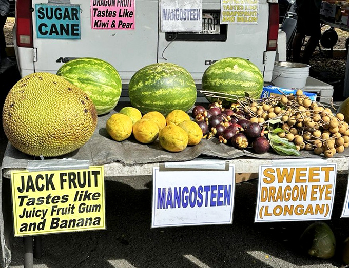 Exotic fruit embassy where jackfruit, mangosteen, and dragon eye hold diplomatic relations. The signs helpfully translate alien produce into familiar flavors.
