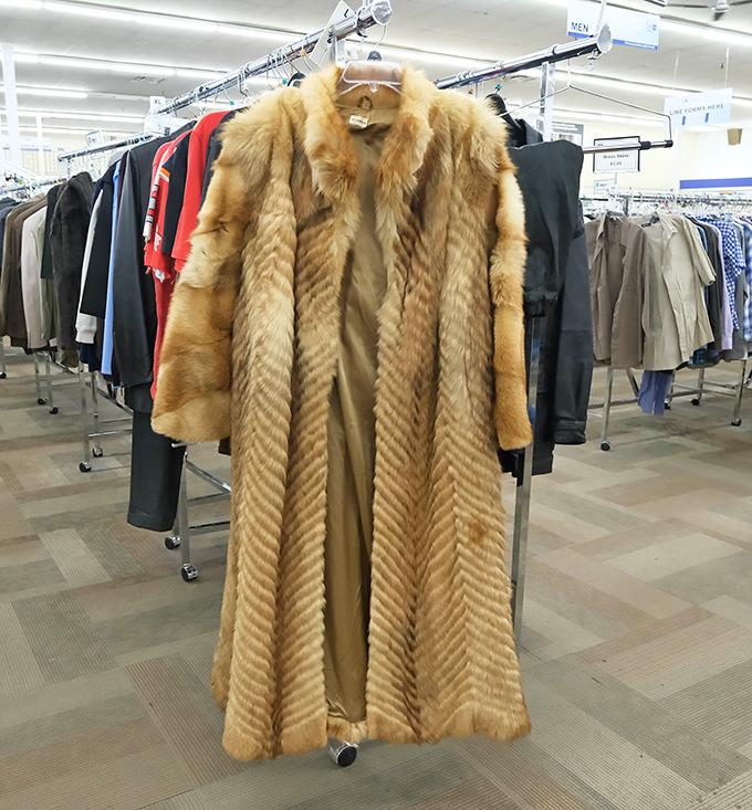 The vintage fur coat section: where you can channel your inner Joan Collins for the price of a fast-food dinner. Dramatic entrance not included, but highly encouraged. 