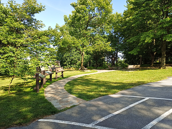 Gambrill's wooded trails and benches offer the kind of forest therapy that doesn't require a prescription.