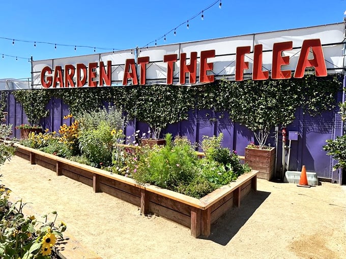 "Garden at the Flea" offers a moment of zen amid shopping chaos. This green oasis proves that even bargain hunters need a botanical breather occasionally.