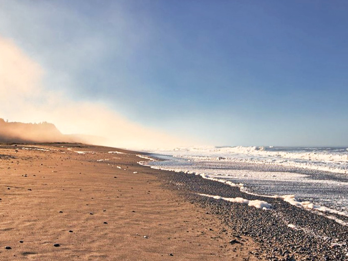 Gold Bluffs Beach stretches into misty infinity where forest meets ocean. The gold rush is long gone, but the real treasure remains.