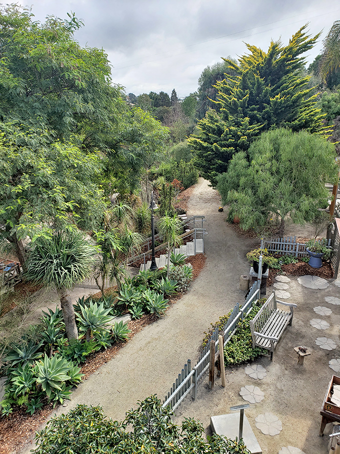 Pathways wind through carefully curated plant collections, inviting visitors to lose themselves in botanical discovery. Nature's version of "choose your own adventure."