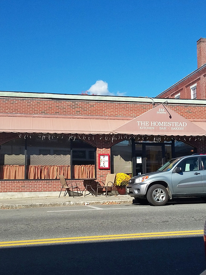 The Homestead doesn't just serve meals; it creates community gathering spaces where the coffee's always hot and someone always knows your name.