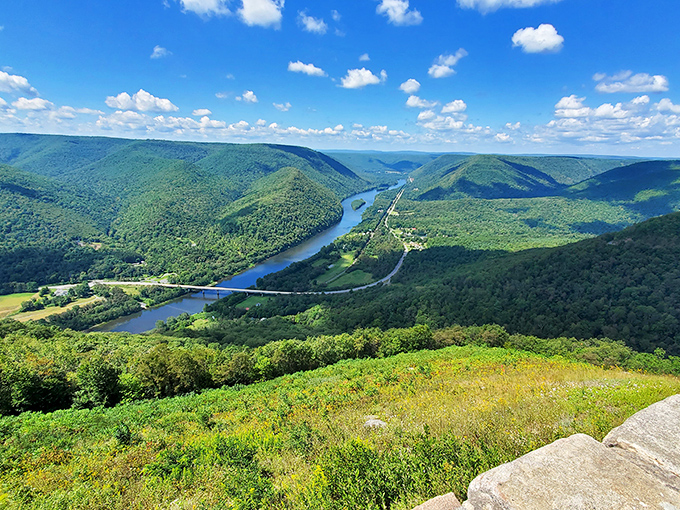Hyner View State Park delivers the kind of panorama that makes your heart skip – the Susquehanna River carving its ancient path through endless forest.